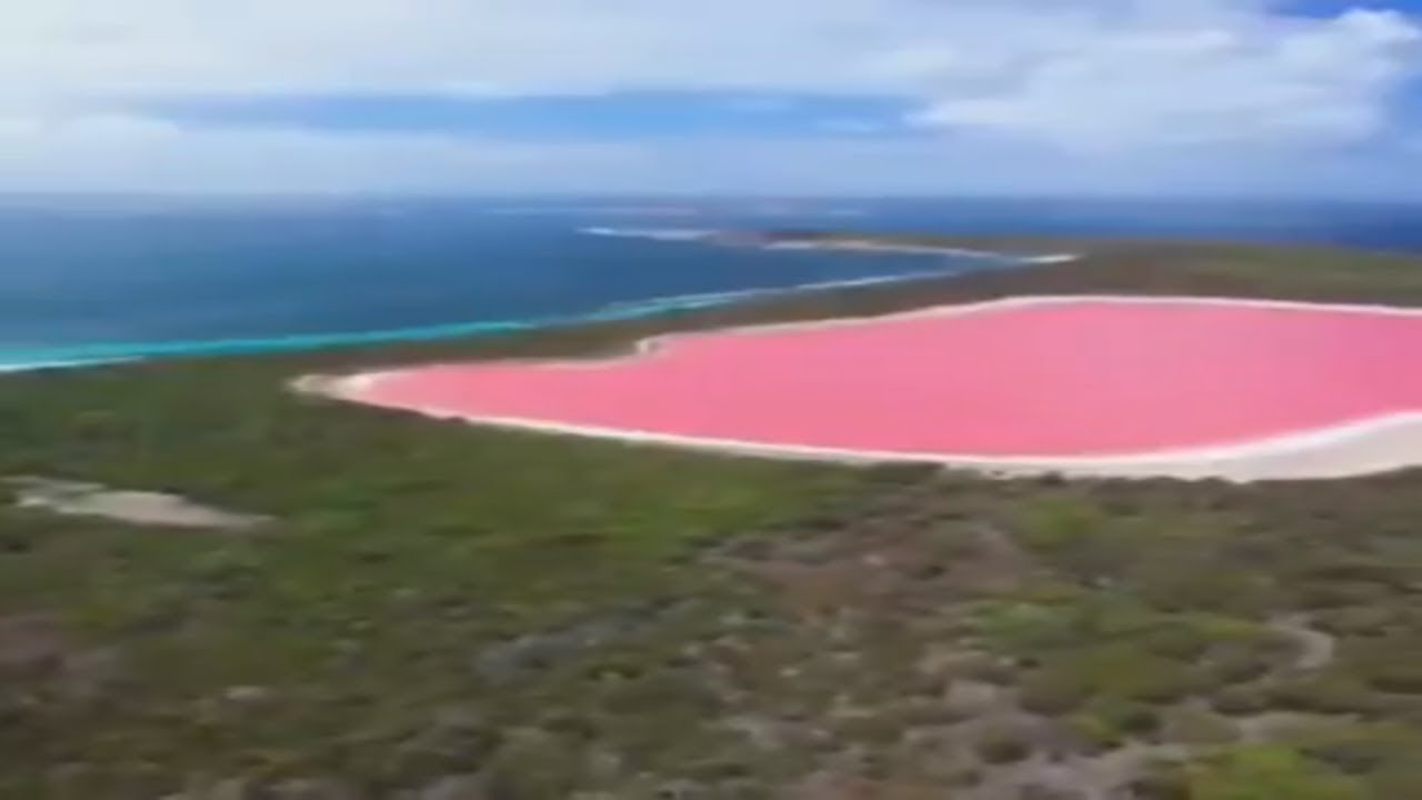 Amazing Pink HILLIER Lake Australia Awesome Nature of Earth - YouTube