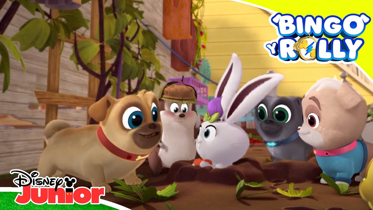 Bingo y Rolly: 5 Momentos favoritos de amistad | Disney Junior Oficial ...
