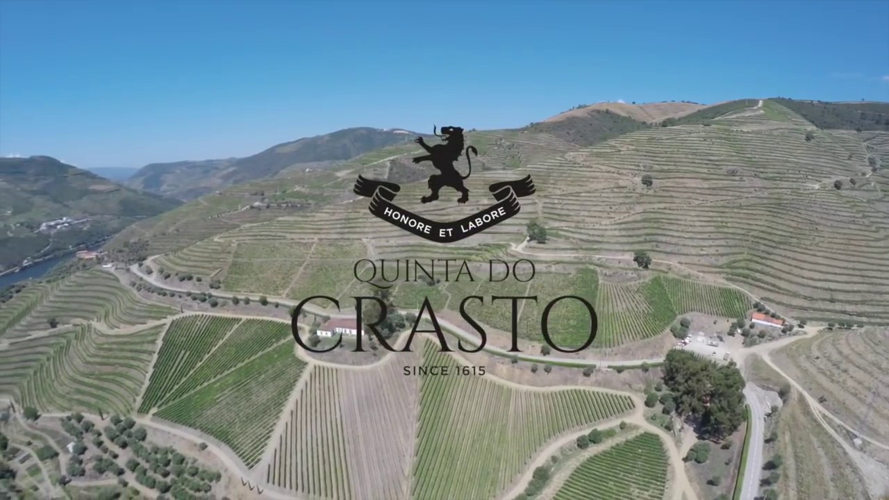 Quinta do Crasto, Douro, Portugal. Vineyards and Drone 4k - YouTube