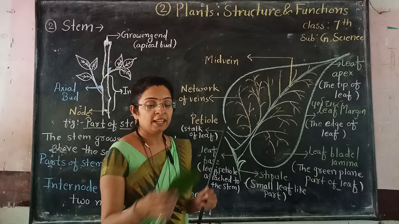 7th Science Lesson 2 Video 2 YouTube 7th-science-lesson-2-video-2-youtube