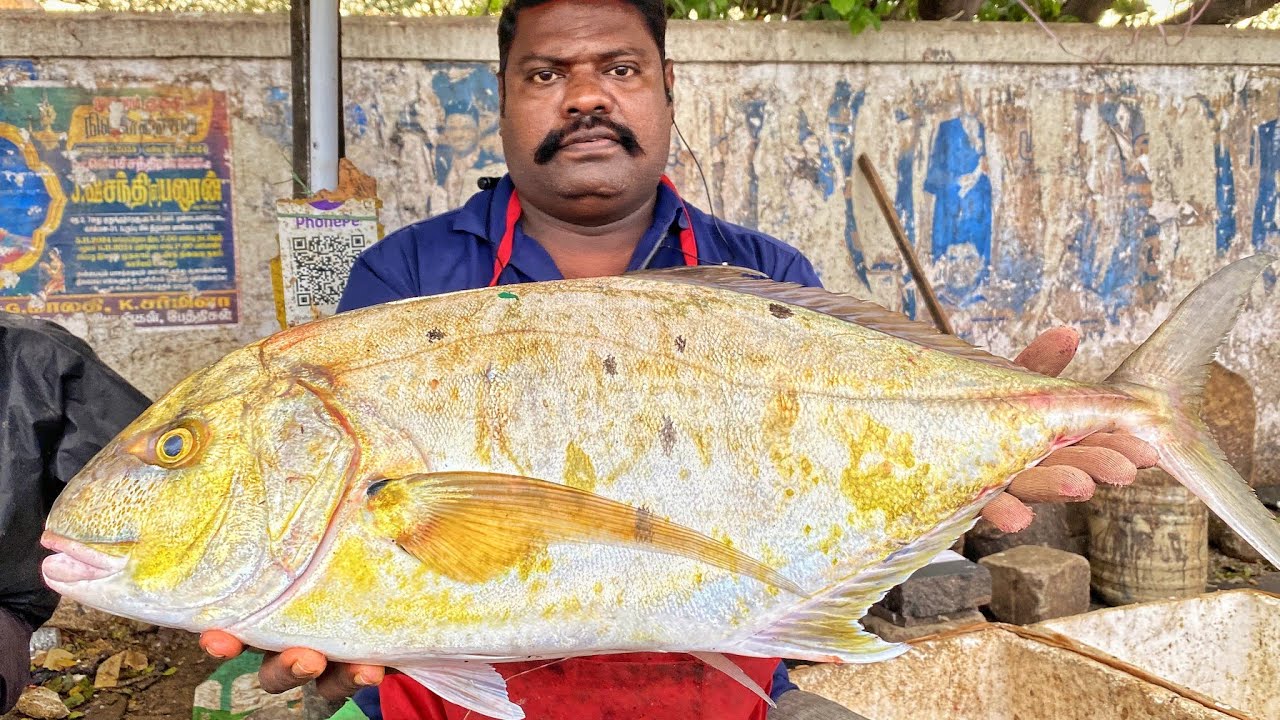 KASIMEDU 🔥 SPEED SELVAM | HUGE DOT TRAVELLY FISH CUTTING VIDEO | 4K ...
