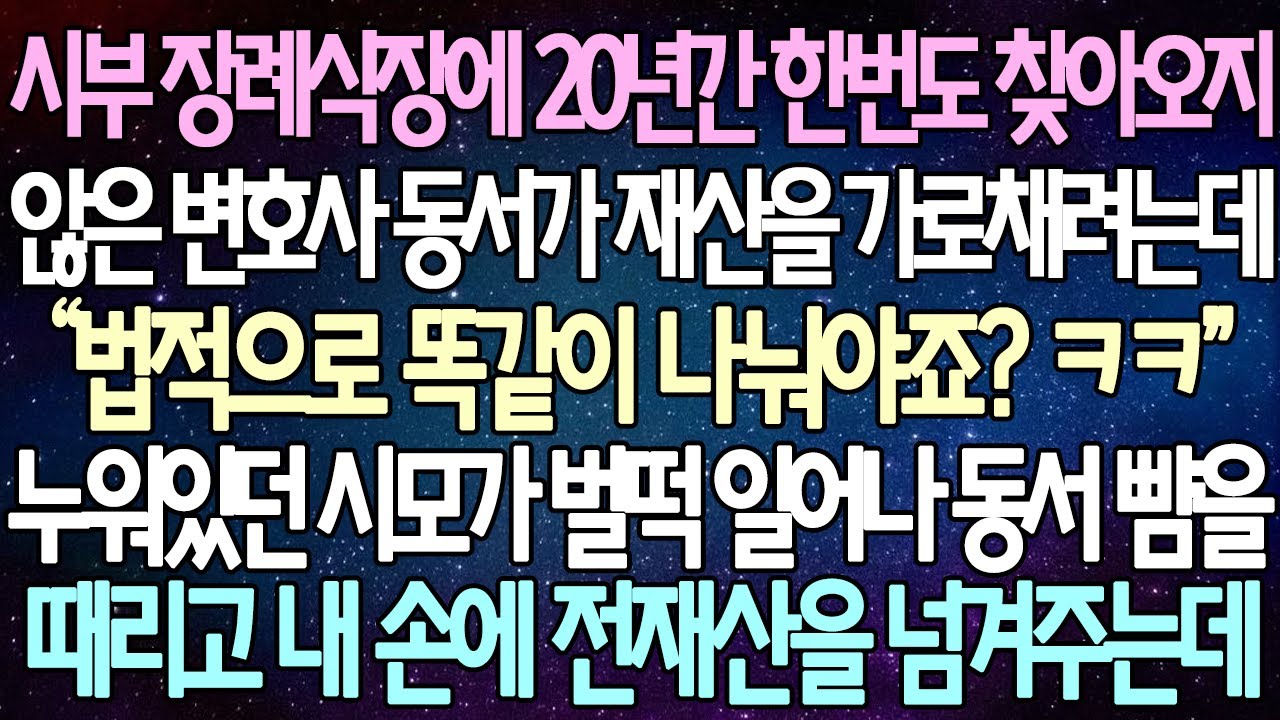 반전 사연 시부 장례식장에 20년간 한번도 찾아오지 않은 변호사 동서가 재산을 가로채려는데 누워있던 시모가 벌떡 일어나 동서