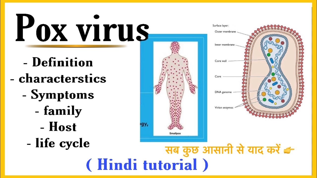 Pox virus in hindi ll biology ll - YouTube