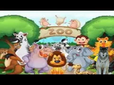 Zoo animals for children - YouTube