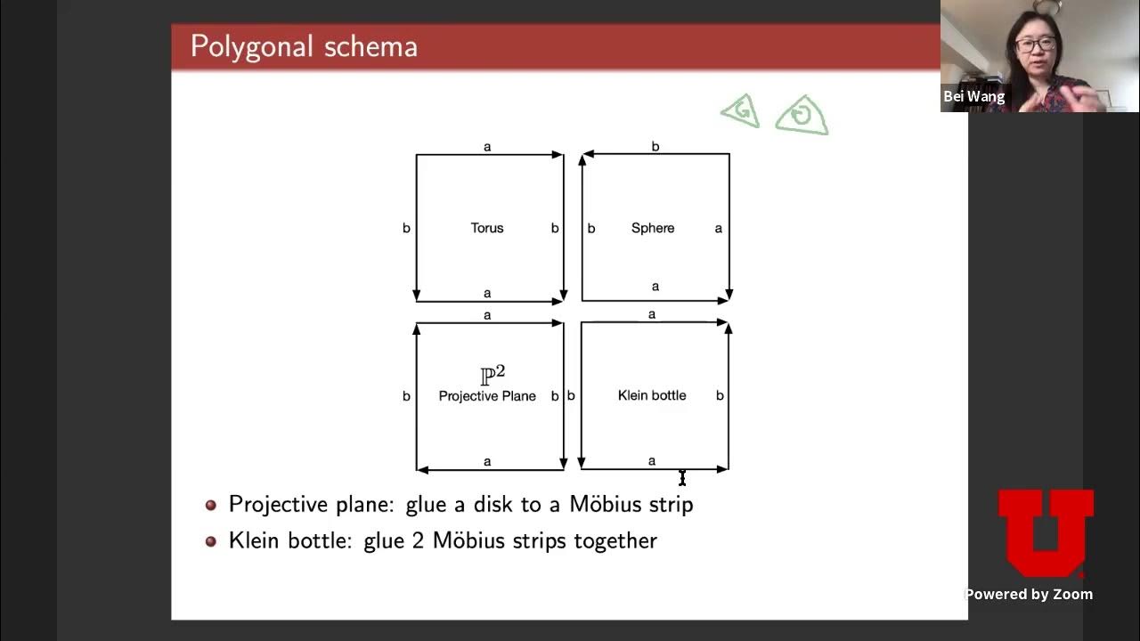 Lecture 11: Homology, Computing Betti Numbers, Manifold - YouTube