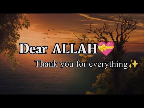 Mery Allah | New Islamic Whatsapp Status | Islamic Status Video | Status | Status For Dua|New Status