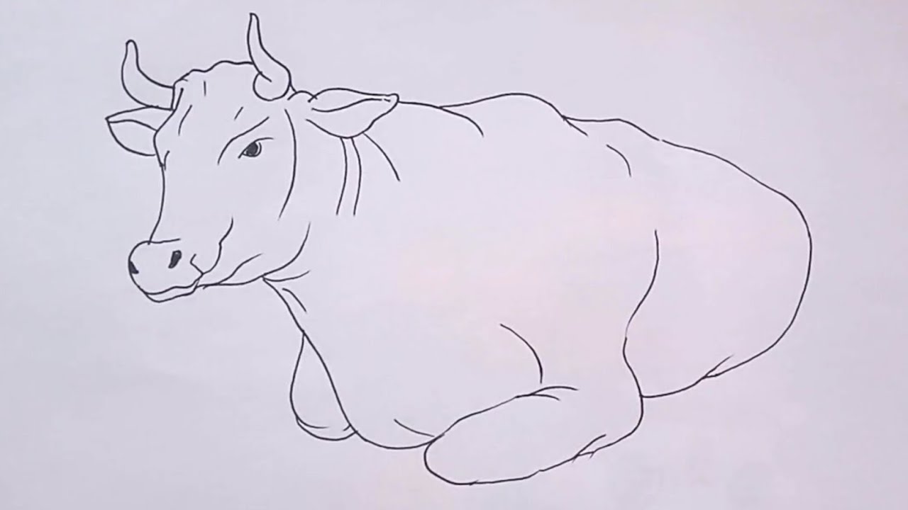 Menggambar Sapi || Cara Menggambar Mudah - YouTube