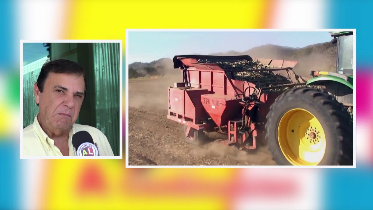 COSECHA DE CAÑA AZUCARERA LA CHOLUTECA NOTICIAS AL DIGITAL - YouTube