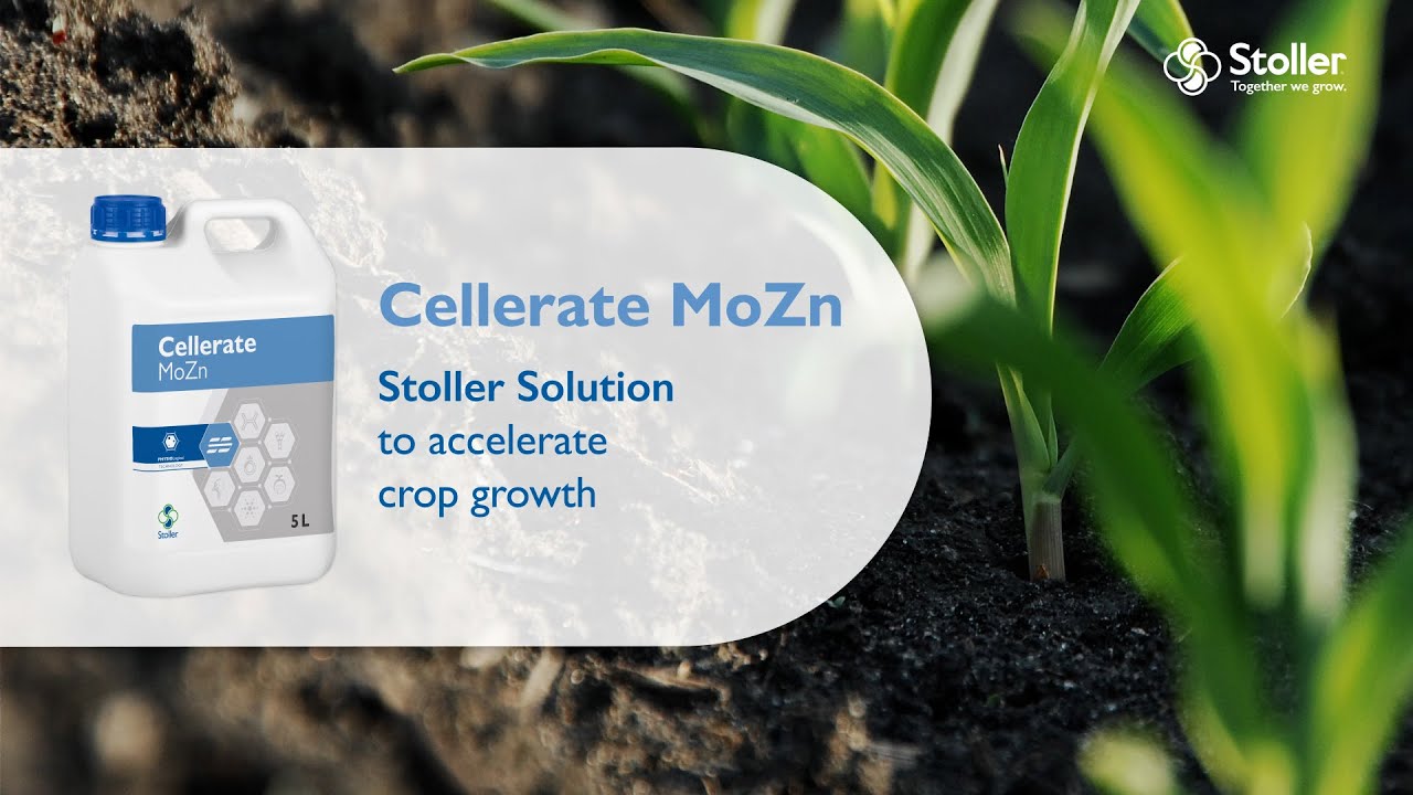 Cellerate MoZn | Accelerate crop growth - YouTube