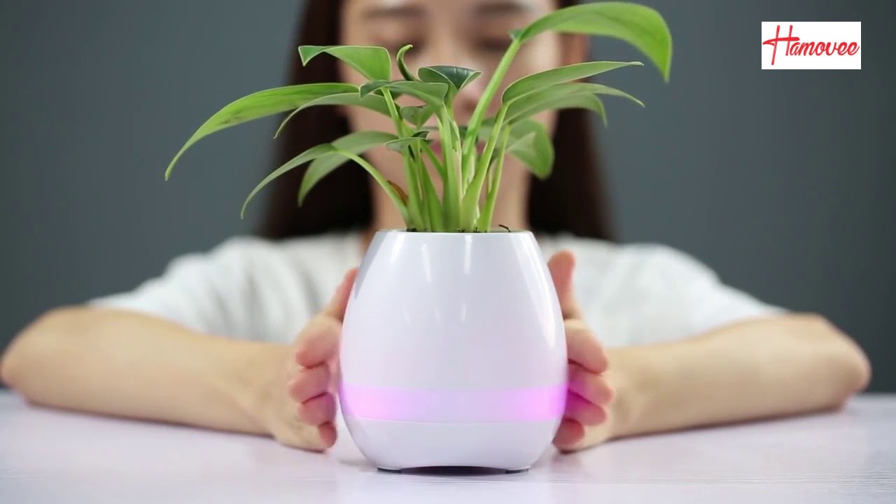 Music Bluetooth Flower Pot by Hamovee - YouTube