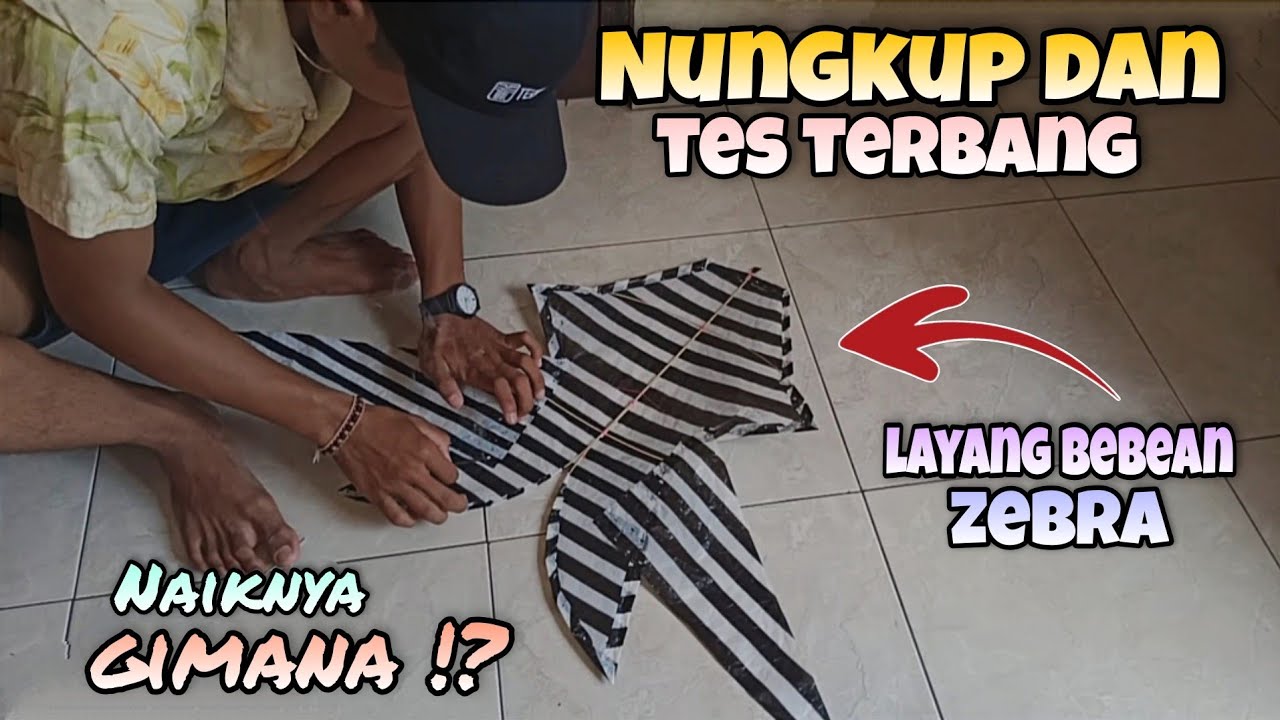 New layang Bebean zebra mini, proses nungkup dan tes terbang - YouTube