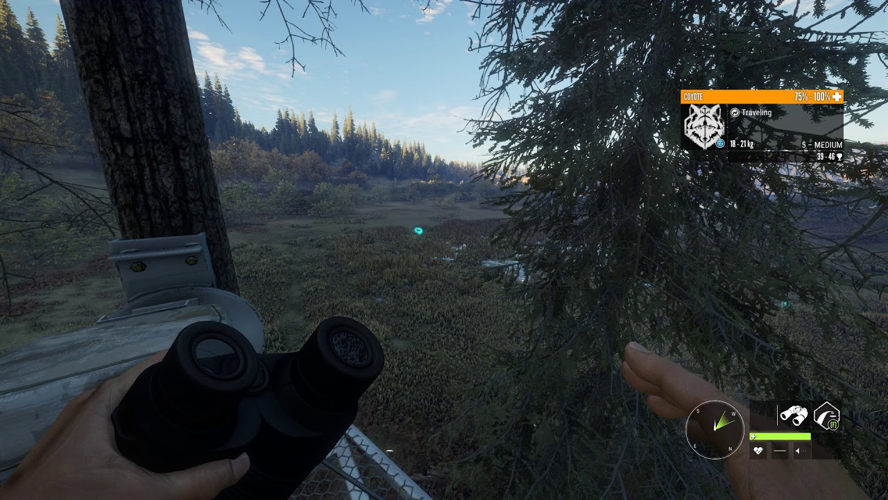 TheHunter Call Of The Wild Gameplay Call Of The Wild Hunting Game - YouTube