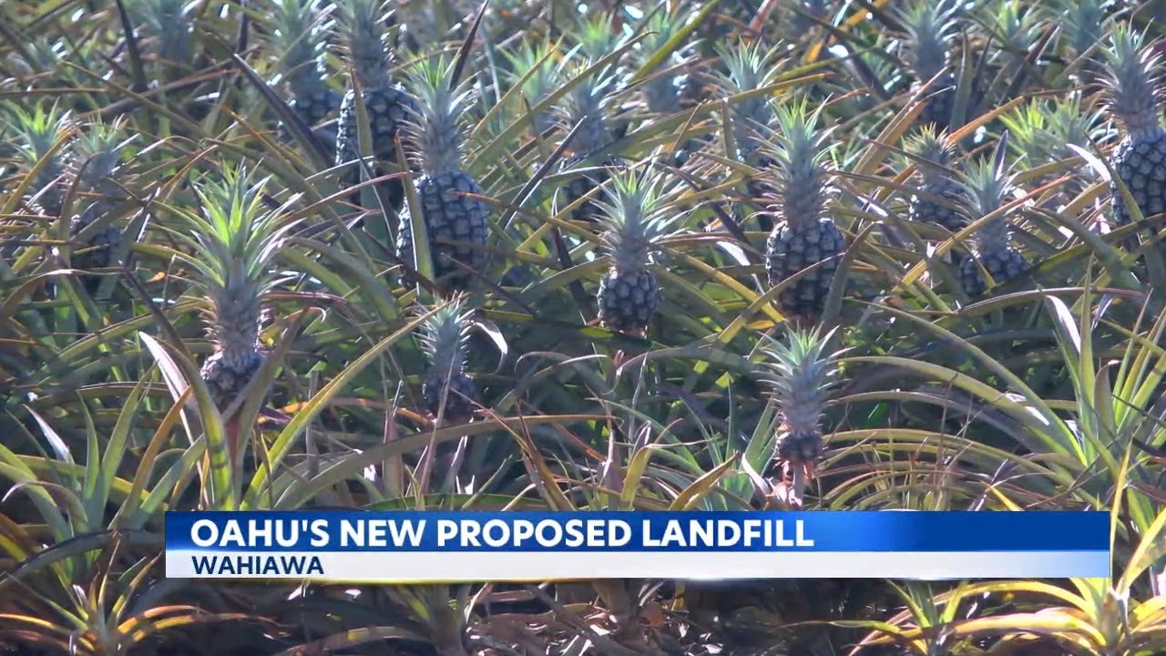 Wahiawa site proposed as Oahu's next landfill sparks controversy - YouTube