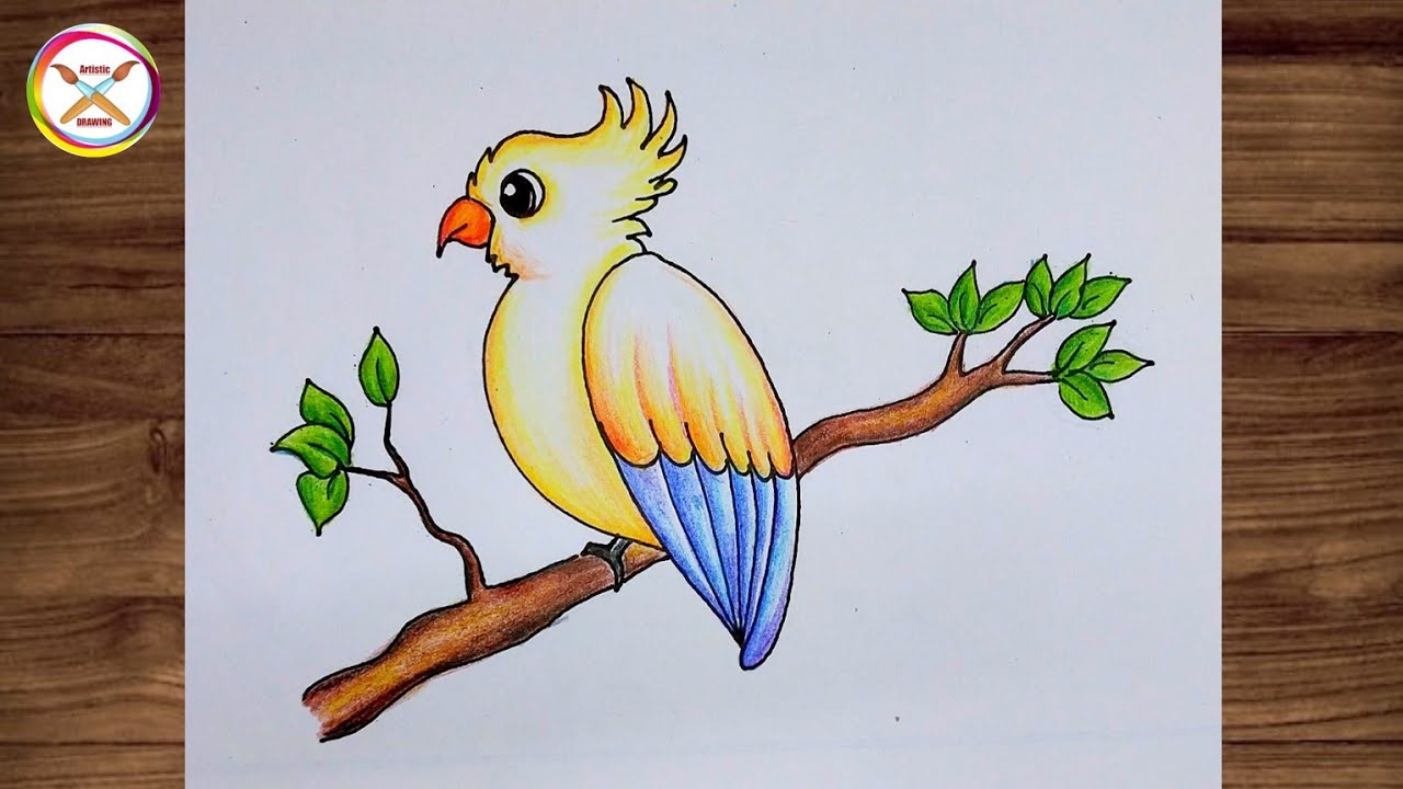 How To Draw Cockatoo In Easy Way || Cockatoo Drawing Step by Step ...