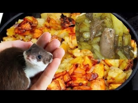 roadkill cuisine Arthur Boyt Жареная картошка с мяса ласки Weasel meat ...