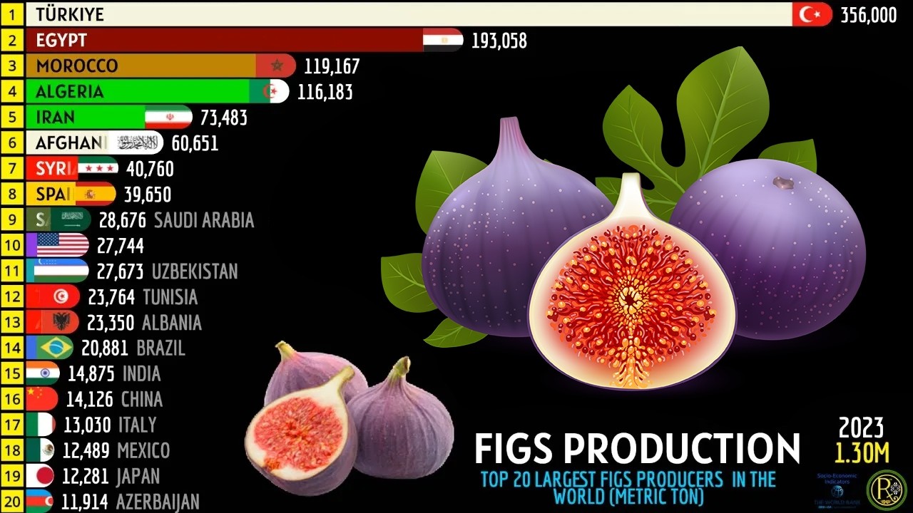 TOP 20 LARGEST FIGS PRODUCERS IN THE WORLD - YouTube