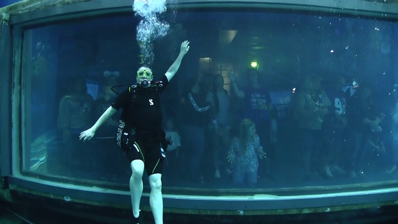 Disney Dive Quest EPCOT December 5 2019 - YouTube