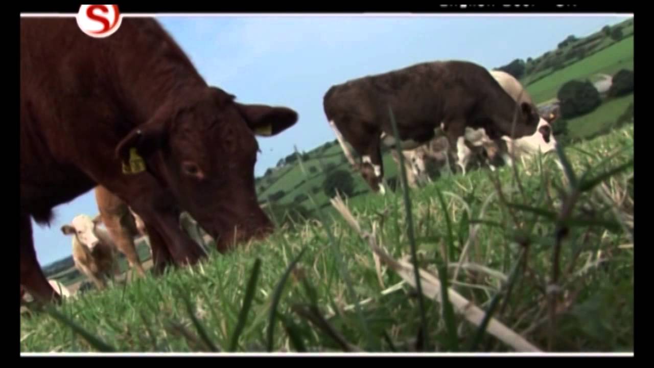 Alec Jarrett TV coverage with SConfinando on Sky - YouTube