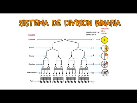 Domina el arte de la música, explorando la Teoría Musical, desde el ...