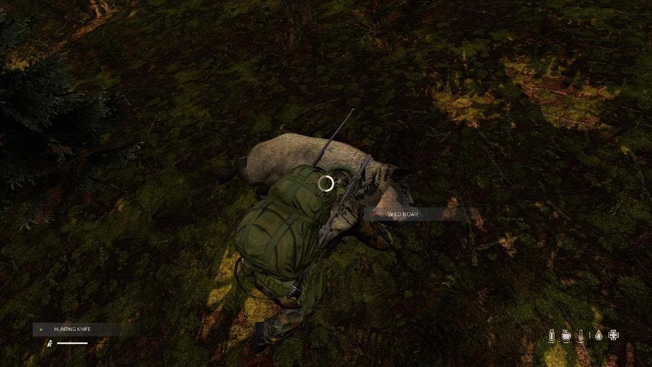 DayZ wild pig kill followed by wolf attack - YouTube