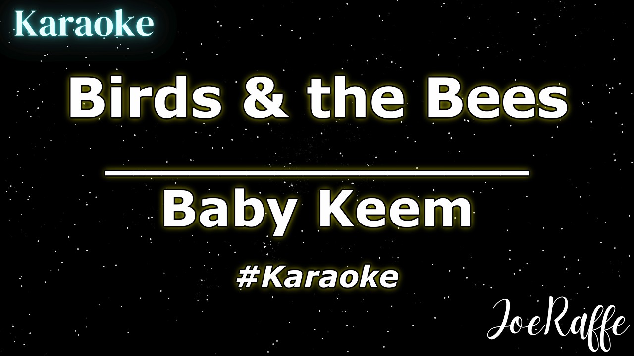 Baby Keem - Birds & the Bees (Karaoke) - YouTube