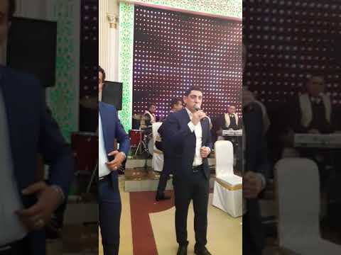Elfaq Genceli_2019canli ifa yep yeni