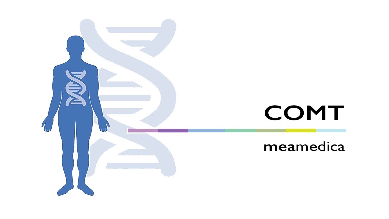 COMT gene - mutations & mechanism - YouTube