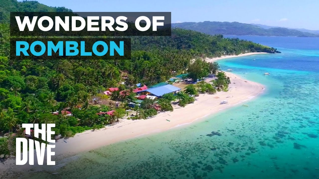 ROMBLON ISLAND: Must See Rare Wonders of Sea Creatures | The Dive - YouTube