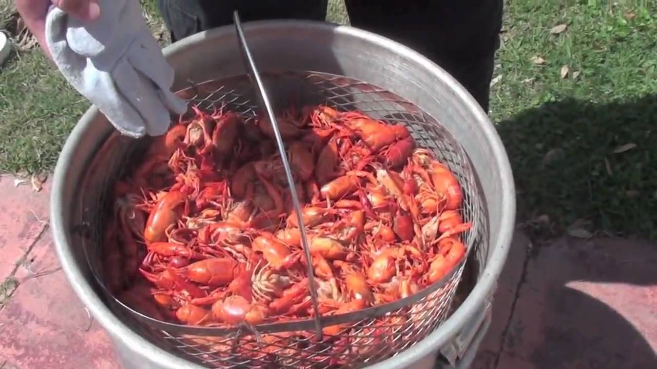 Boiling Crawfish - YouTube