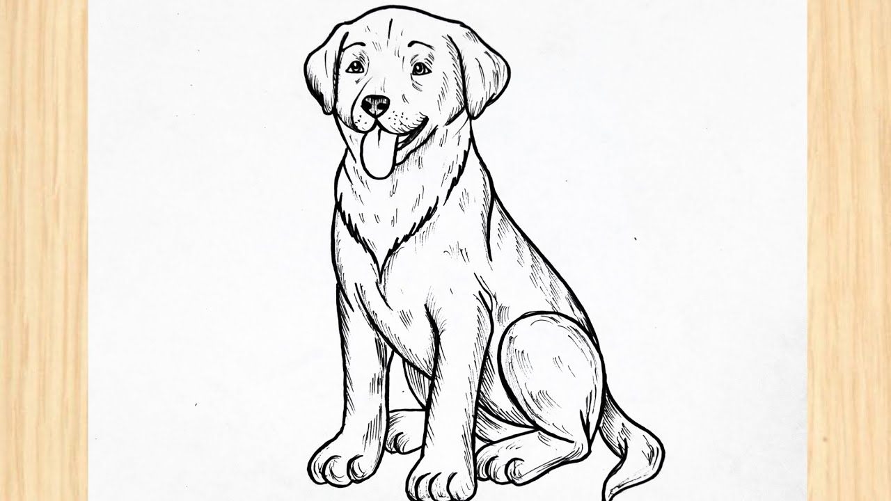How to draw a dog easy step by step | Dog drawing tutorial - YouTube