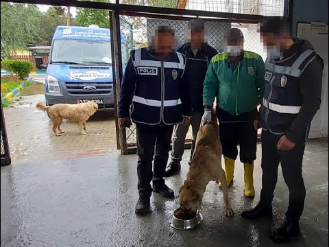 KÖPEĞE EZİYET EDEN ŞAHIS YAKALANDI