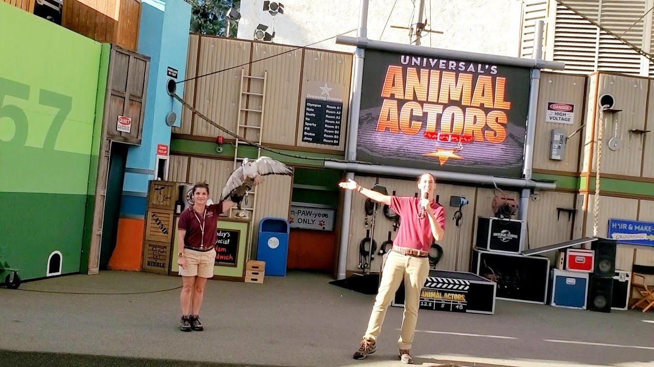 Universal's Animal Actors Show 2021 Hollywood Los Angeles California ...