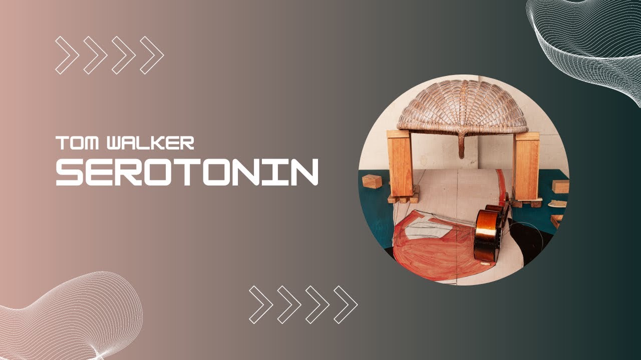 Serotonin - Tom Walker [Lyrics] - YouTube