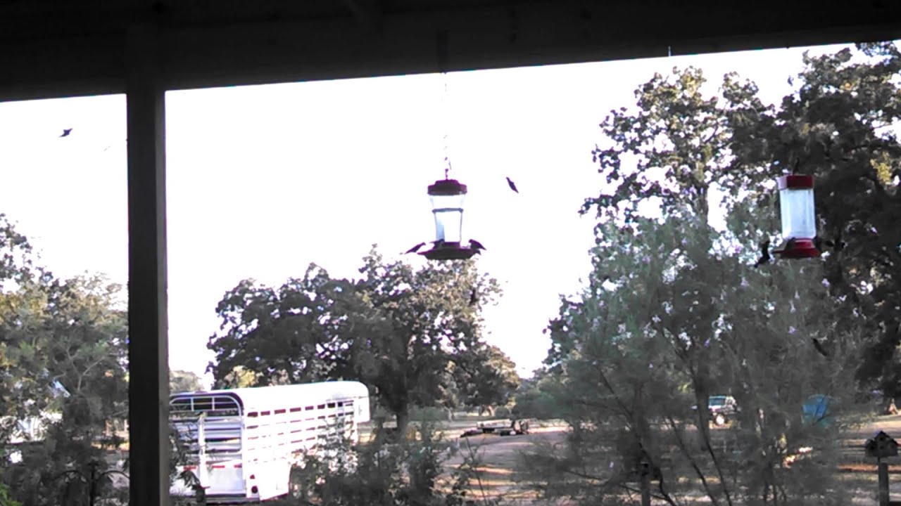 Sunday morning rush hour - YouTube