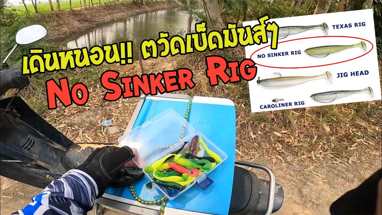 เดินหนอนยาง!! No Sinker Rig ด้วยชุดคันเบ็ด UL ปลาช่อนกัดดี ตวัดเบ็ดสุด ...