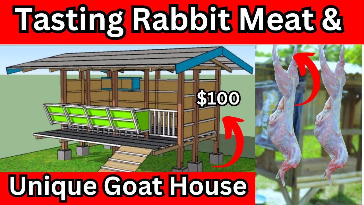 What Does Rabbit meat Taste Like Cooking rabbit and building a Low ...