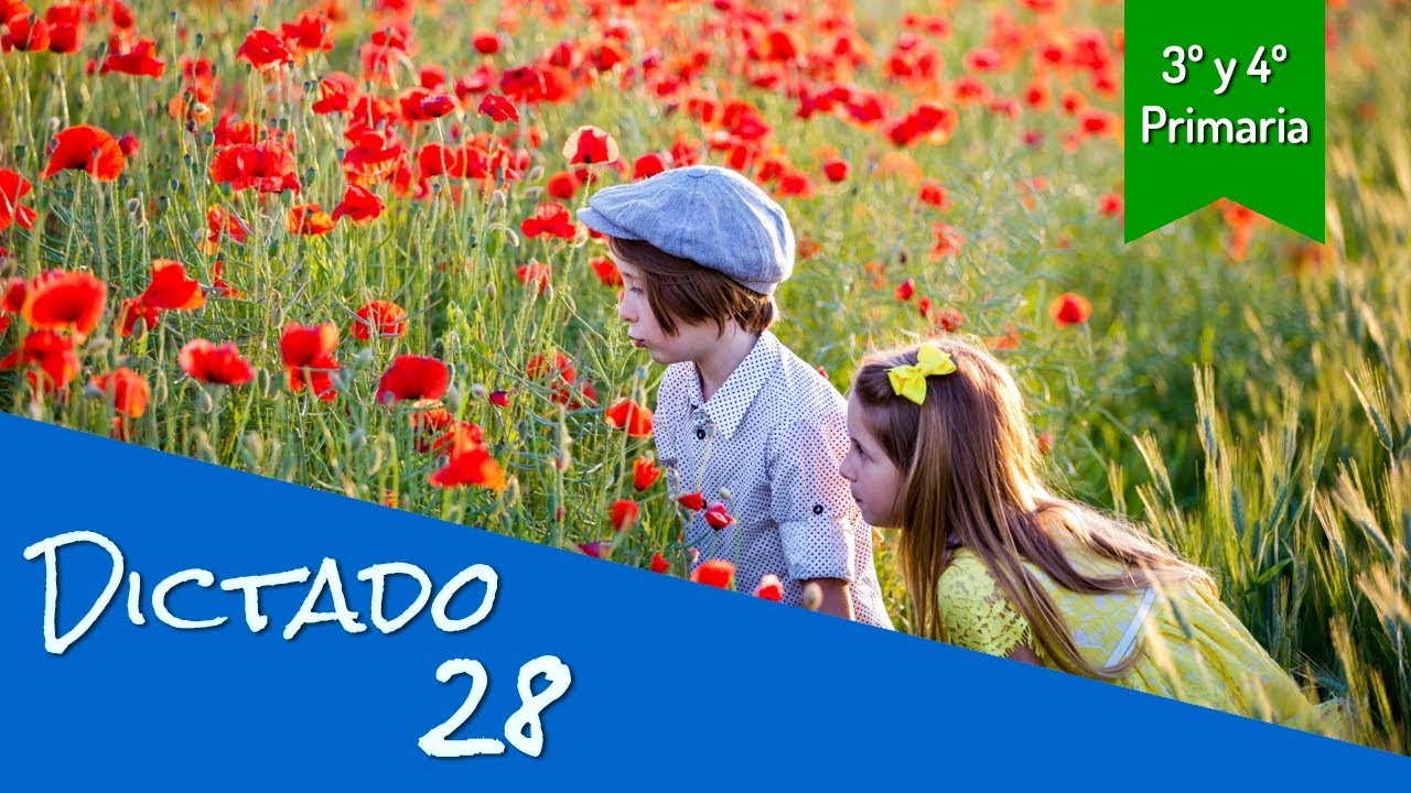 Dictado 28. 3º y 4º Primaria, Lengua - YouTube