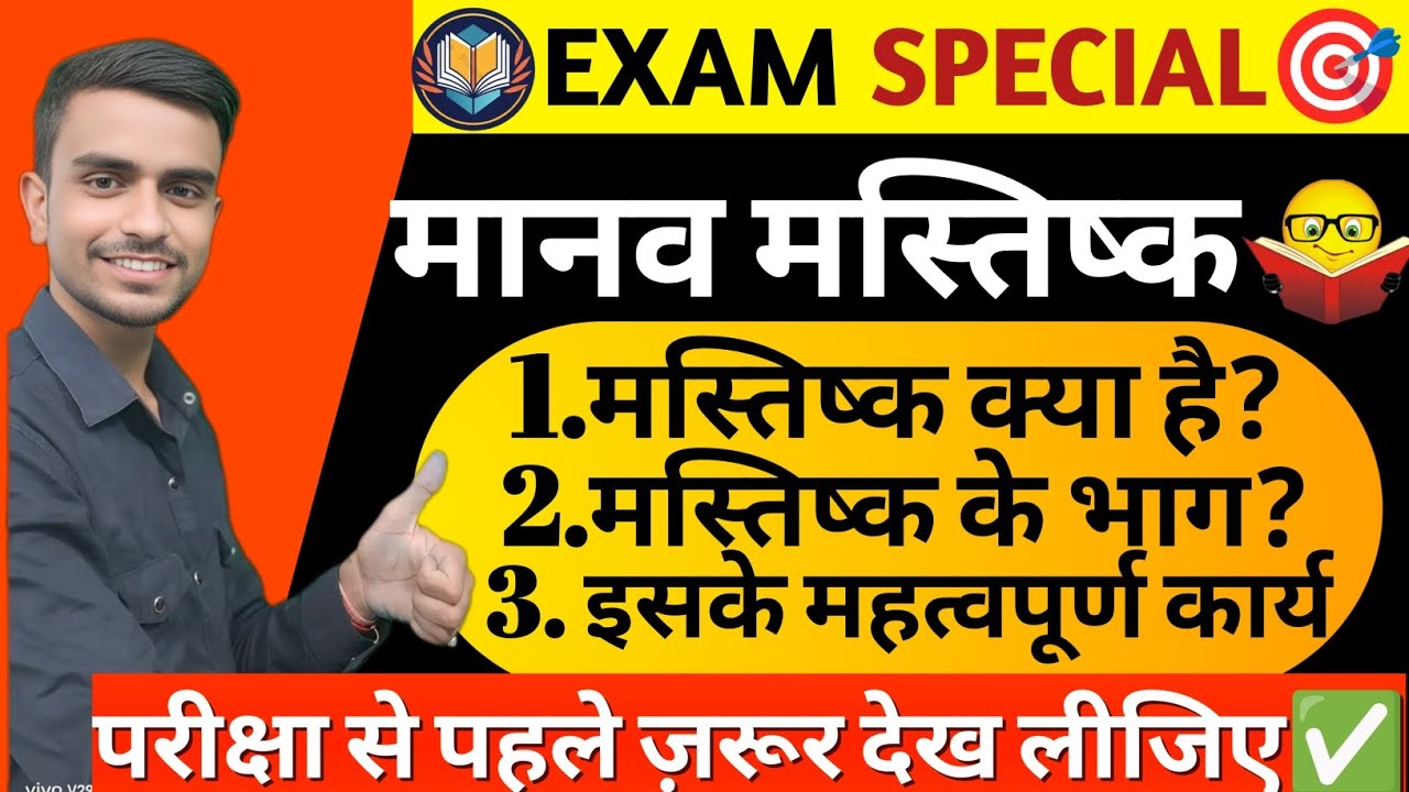 मानव मस्तिष्क | मानव मस्तिष्क की संरचना एवं कार्य | Manav Mastishk ...