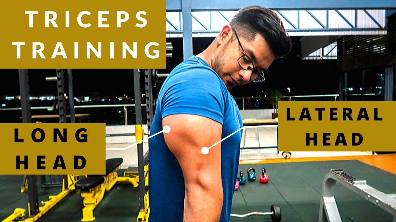 Cara Develop Triceps Besar I Gym Edition I Doctor Sani I - YouTube