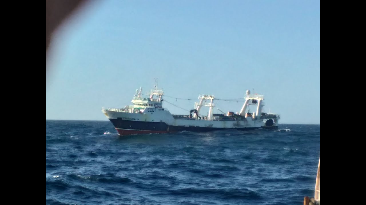 CARA KERJA KAPAL JARING TRAWL || SEHARI 300 TON😱√ - YouTube