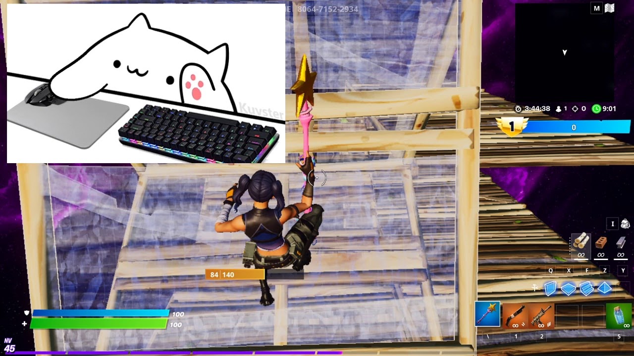 live de fornai com o bongo cat v2 - YouTube