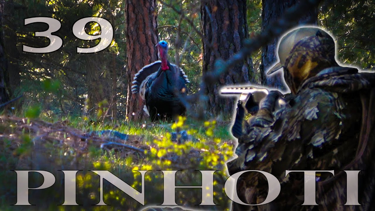 DOWN the BARREL TURKEY HUNTING | TWO NATIONAL FOREST MERRIAMS GOBBLERS ...