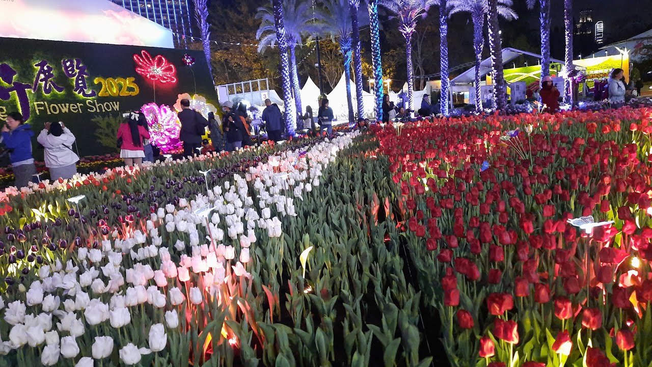 Gina Mix Vlog is live! - YouTube