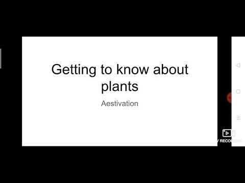 Getting to know about plants- aestivation - YouTube