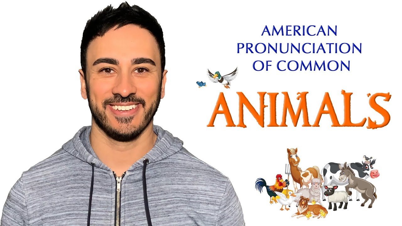 American Pronunciation of 30 Common Animals - YouTube