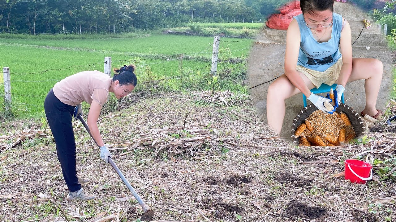 Shelling corn, drying corn, cooking dinner, taking care of fish pond ...