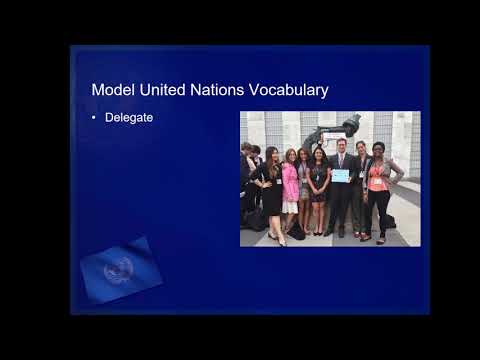 Model United Nations: Einführung in die Regeln der parlamentarischen Geschäftsordnung