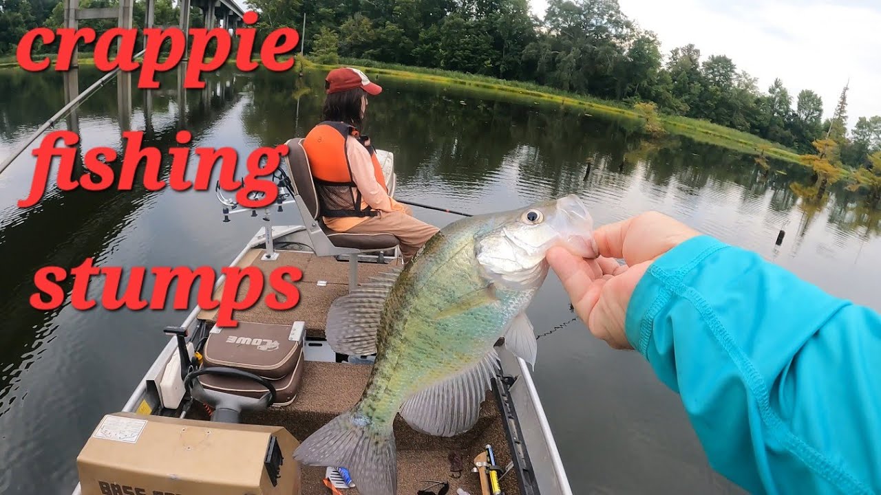 Aug 14 crappie fishing stumps - YouTube
