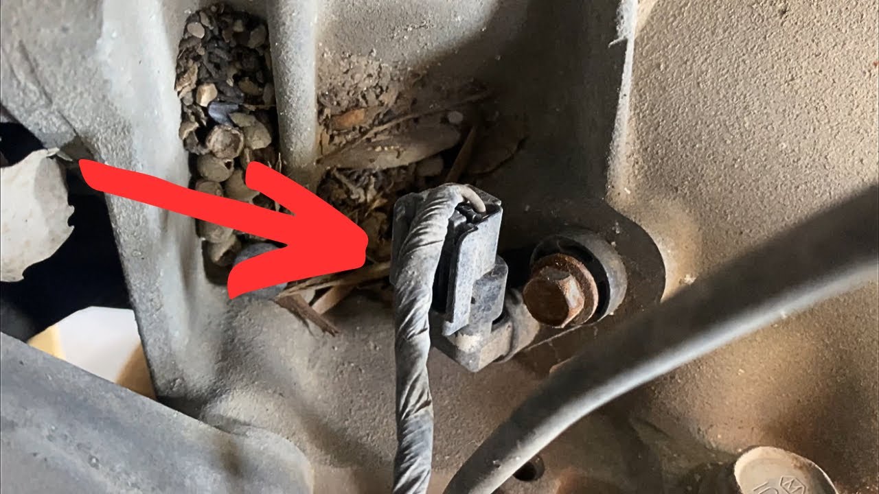 Exciting 2010 Dodge Avenger Crankshaft Sensor Location Photos