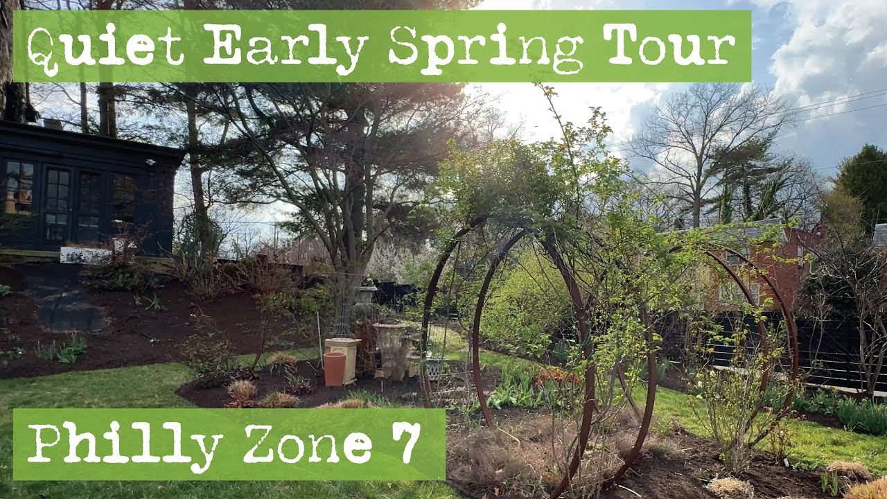 Early Spring 2025 Quiet Garden Tour | Philly Zone 7 - YouTube